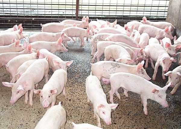 DAG – Un site utilisant Administrations publiques