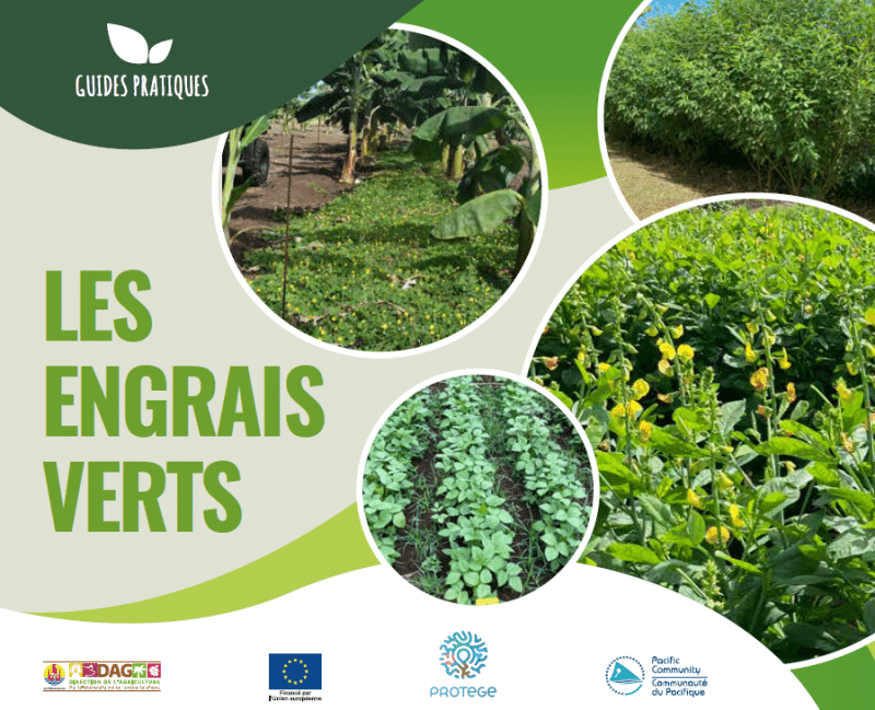 Les engrais verts – DAG