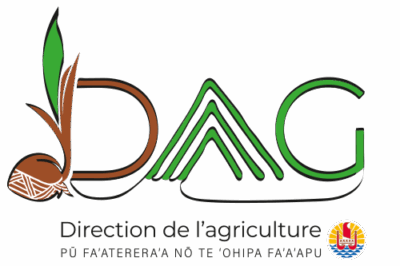 La Direction de l’Agriculture recherche un technicien forestier ...