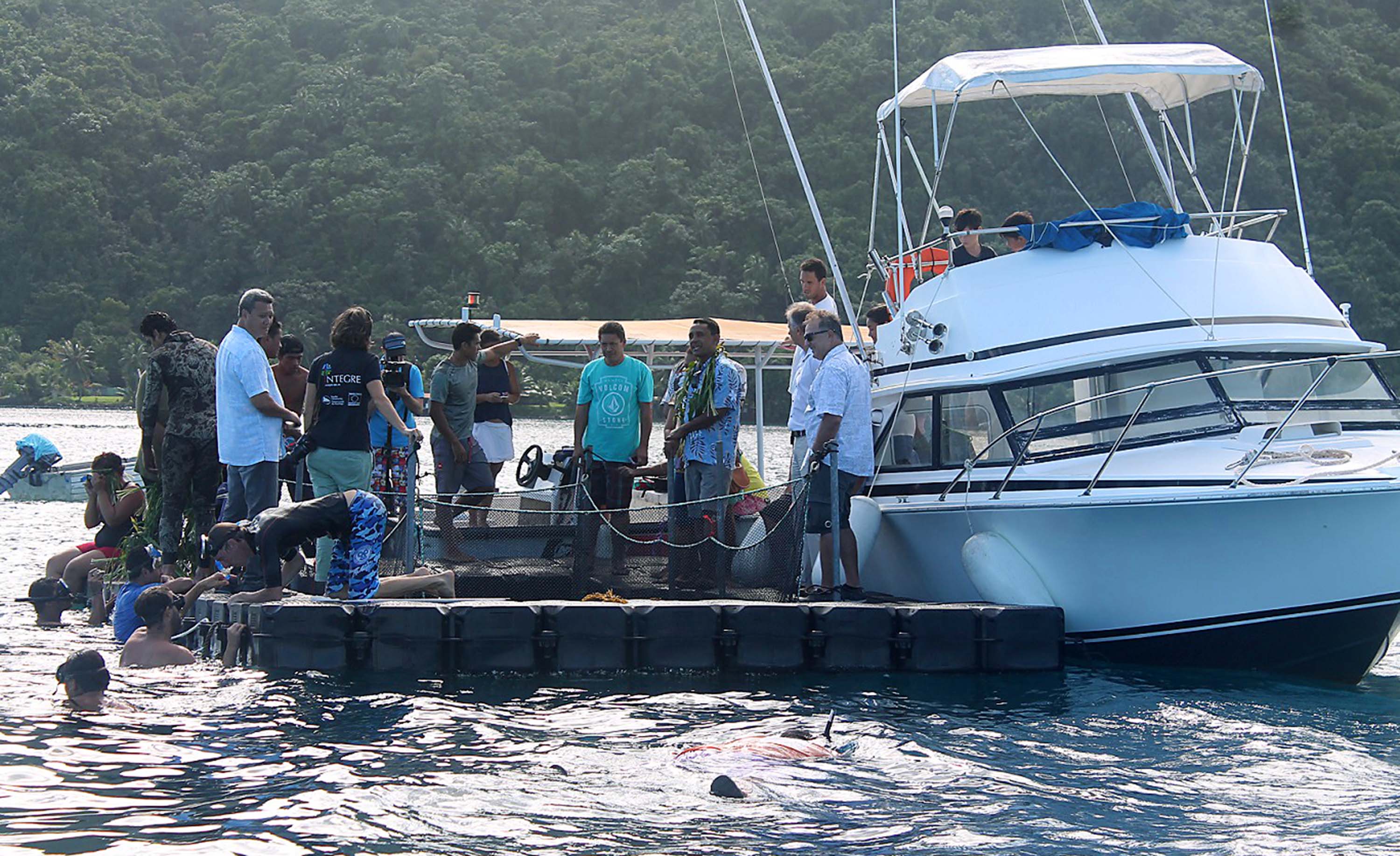 Campagne de réensemencement de poisson Marava à Vairao dans le cadre du ...