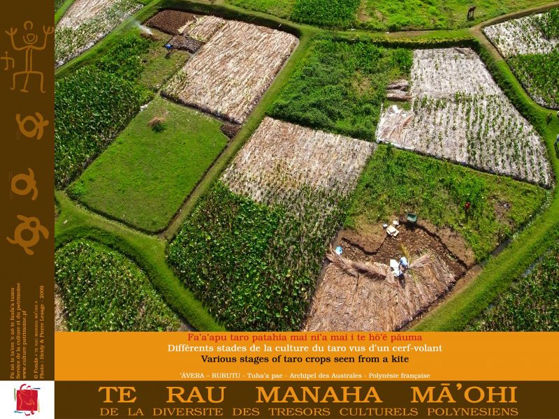 Exposition Te Rau Manaha Maohi – DCP