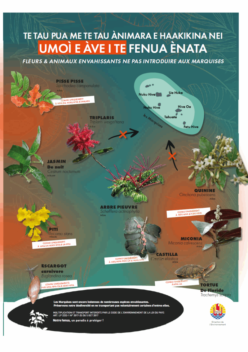Fleurs & animaux envahissantes ne pas introduire aux Marquises (affiche ...