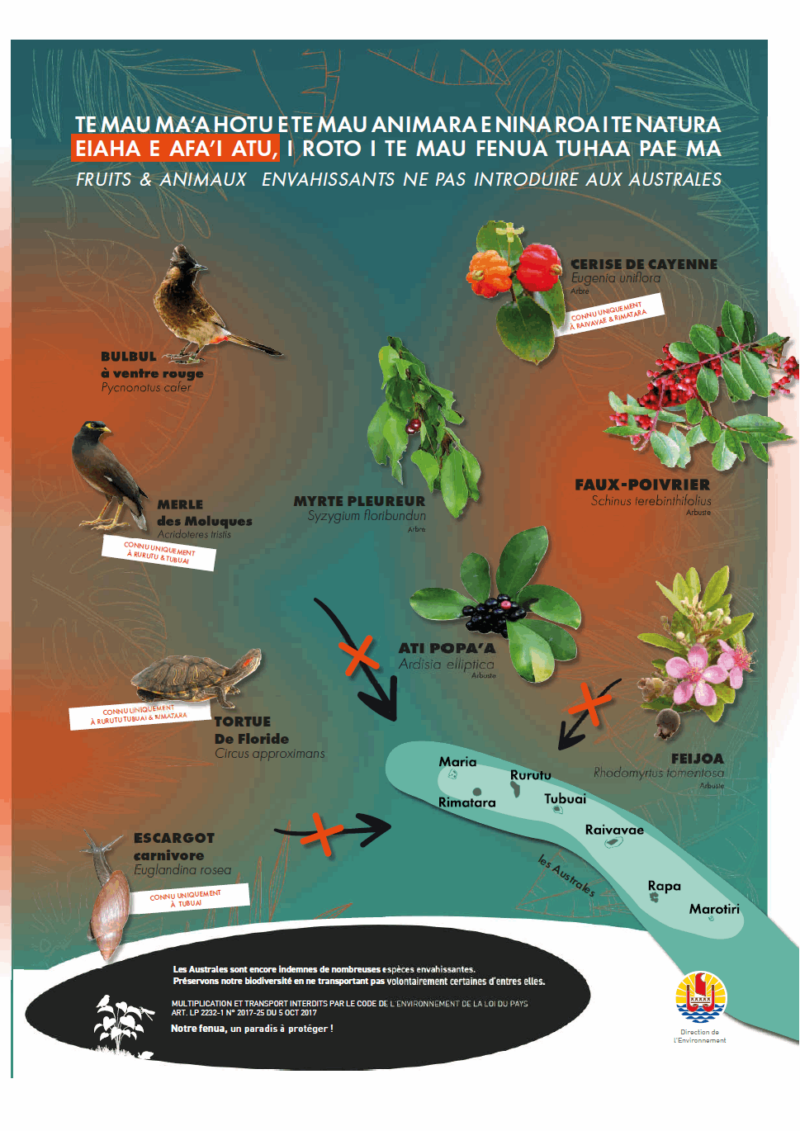 Fruits & animaux envahissantes ne pas introduire aux Australes (affiche ...