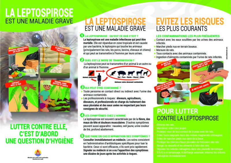 LEPTOSPIROSE-1-FR – Direction de la santé de Polynésie française