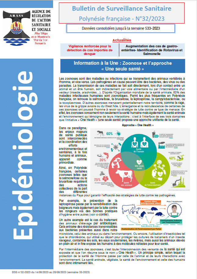 Bulletin de Surveillance Sanitaire de la S33 2023
