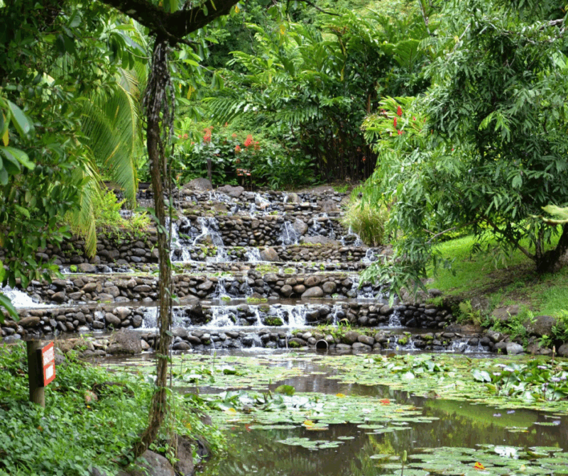 Pointe Vénus – Service du tourisme