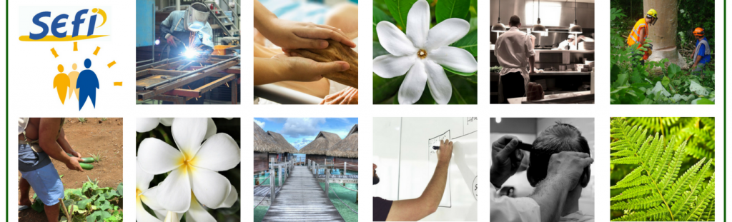 Net.pf » SEFI Service de l’emploi, de la formation et de l’insertion ...